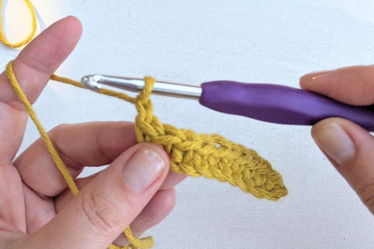 How to Crochet - a Step by Step Guide | My Crochet Space